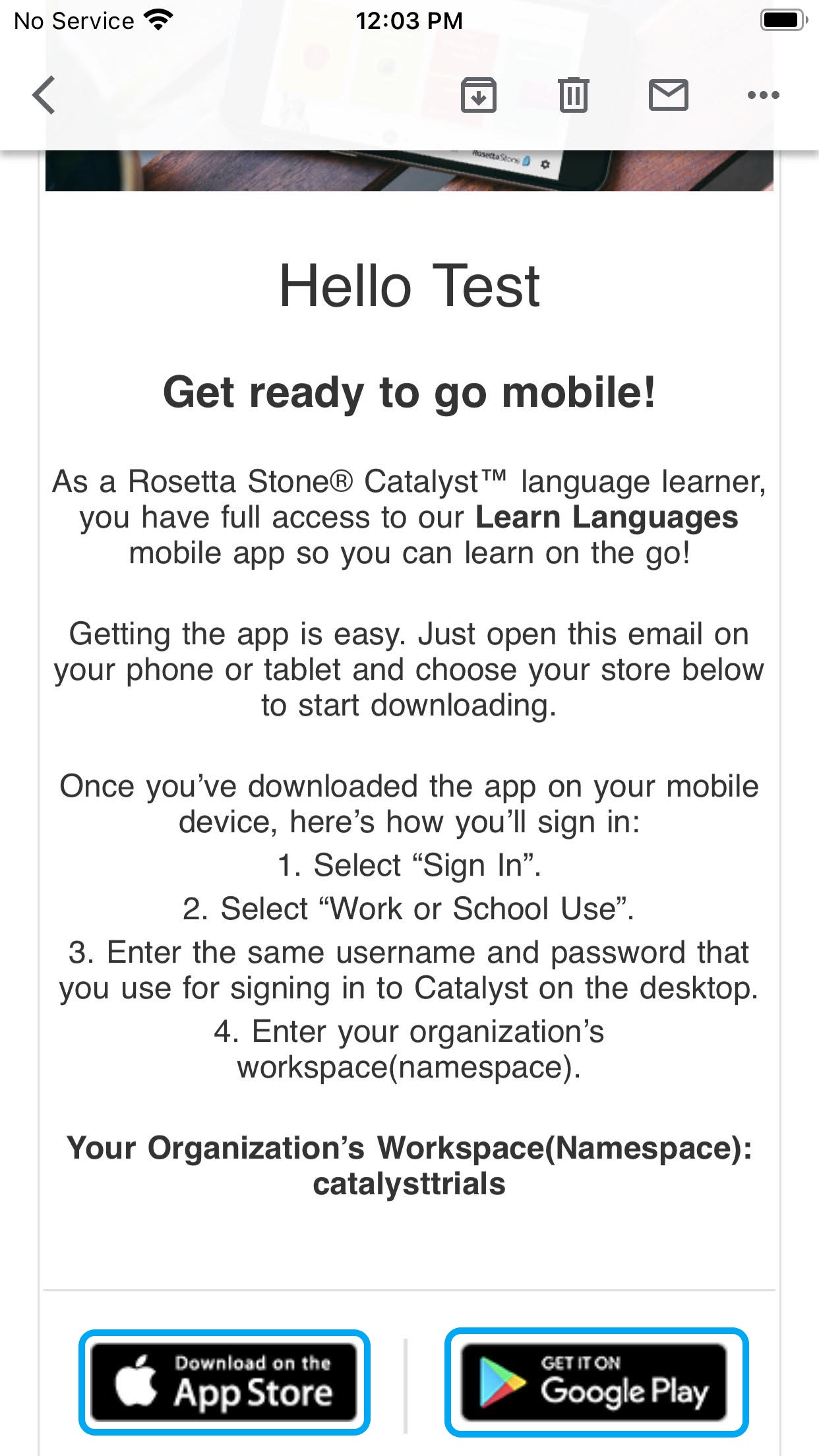 All About the Fully Mobile Experience for Catalyst | Rosetta Stone® Support
