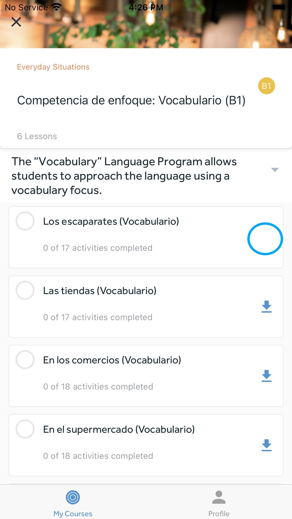 Offline Mode for the Fluency Builder App | Rosetta Stone® Support