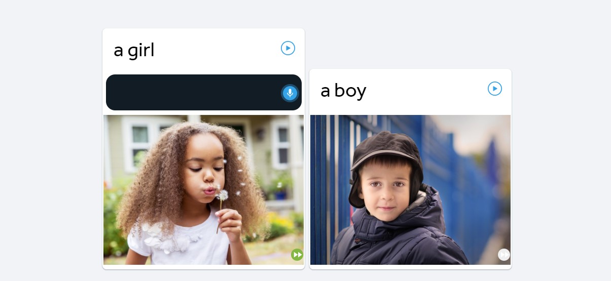 Guide to Lesson/Activity Types | Rosetta Stone® Support